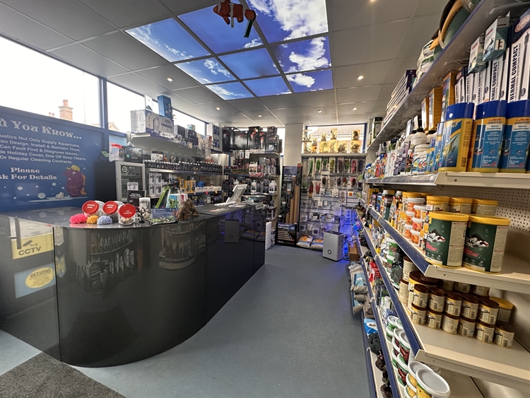 Buy an Independent Store Specialising Tropical Fish Aquarium In Hove